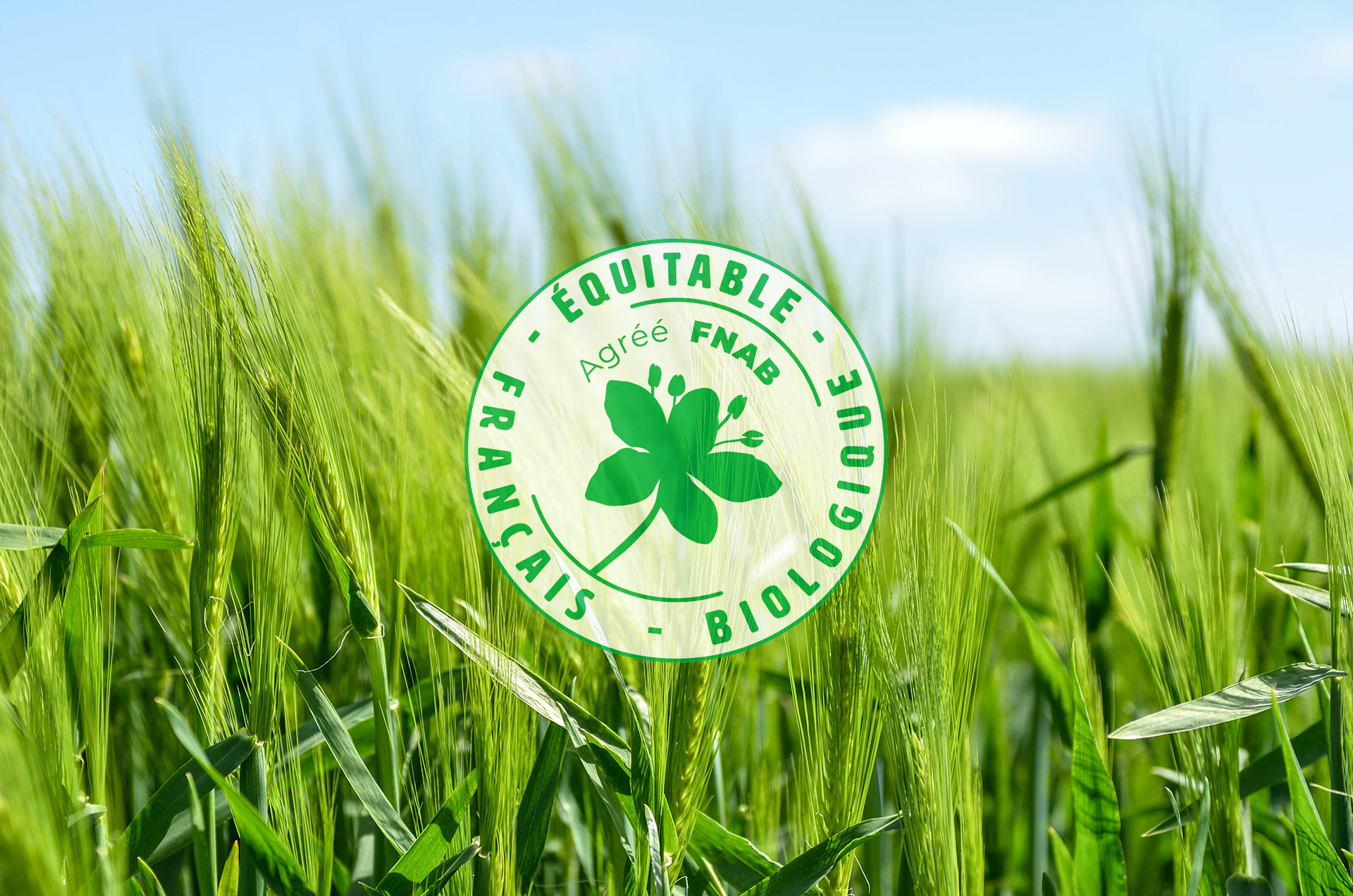 Un nouveau label : Bio, Français et Équitable - Charlotte Echinard